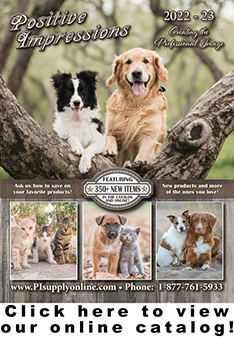 Dog, Cat & Pet Clay Paw Print Kits & Supplies